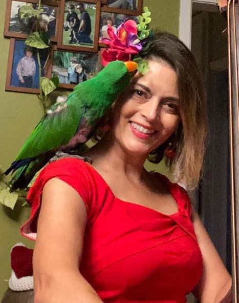 Back & Forth: Artist Colleen Gnos - SLO Review